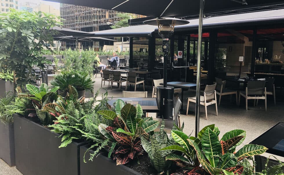 Best Patios in Toronto, by Neighbourhood