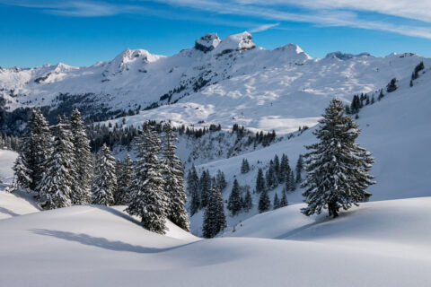 Top of the world: A ski experience in the Alps this winter